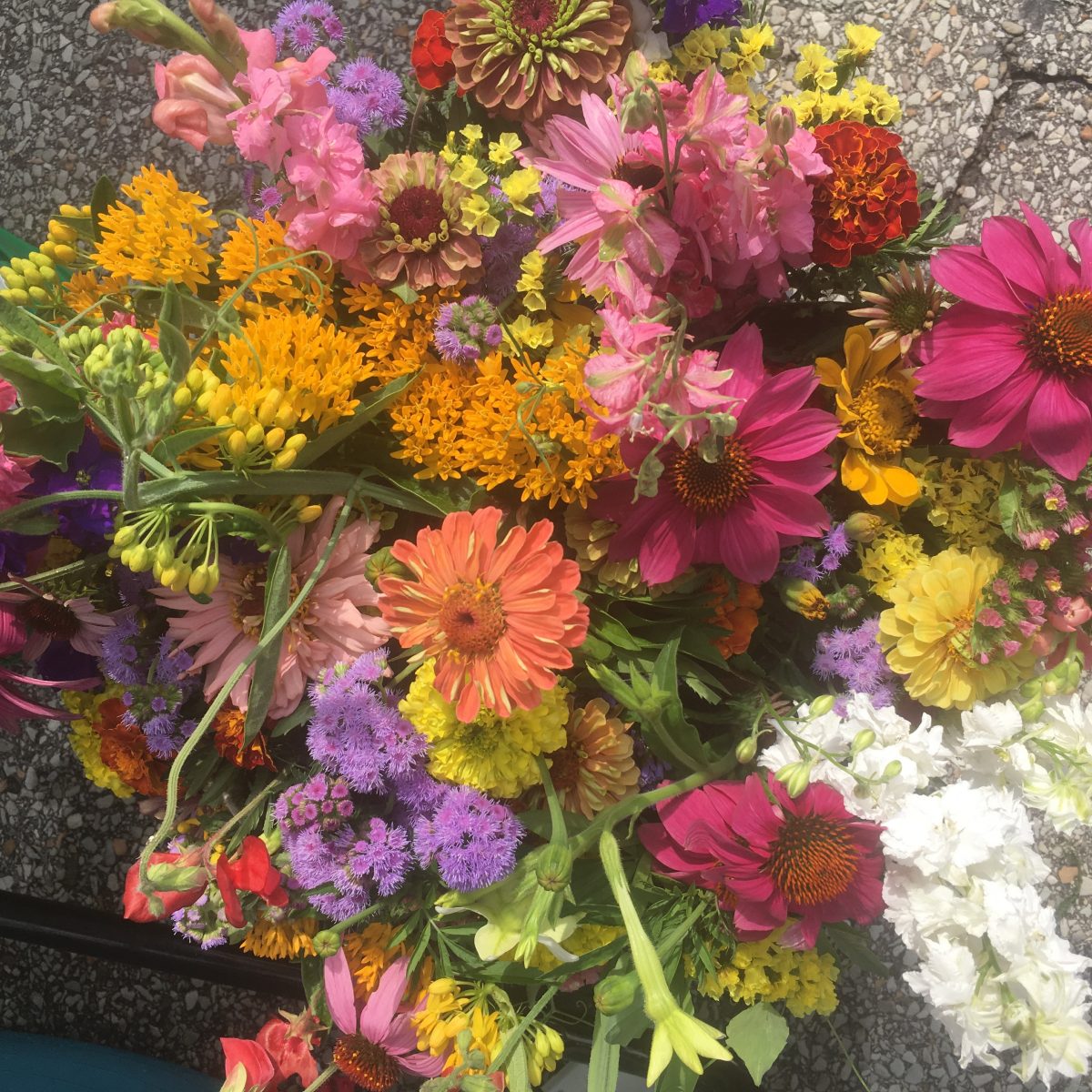 Summer Bouquets are here! – Cutting Root Farm