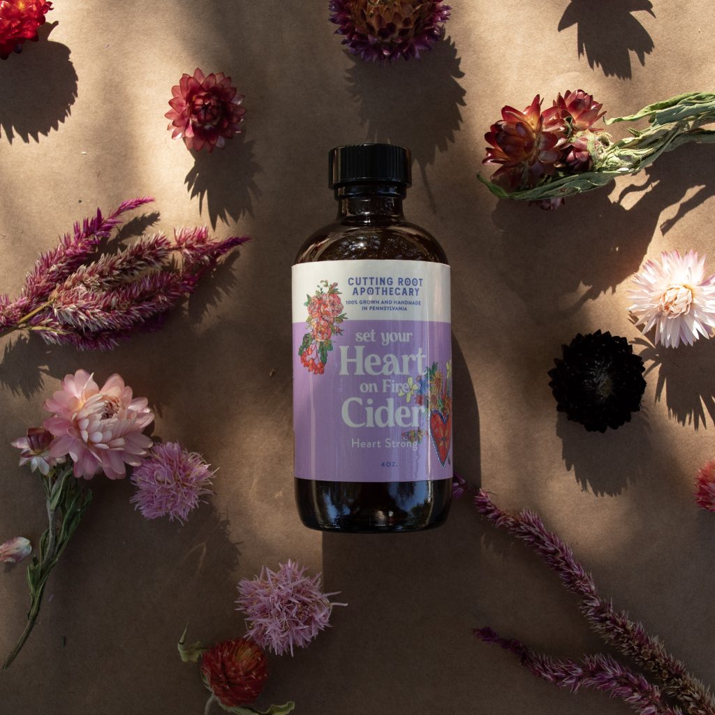 Set Your Heart on Fire Cider – Cutting Root Farm