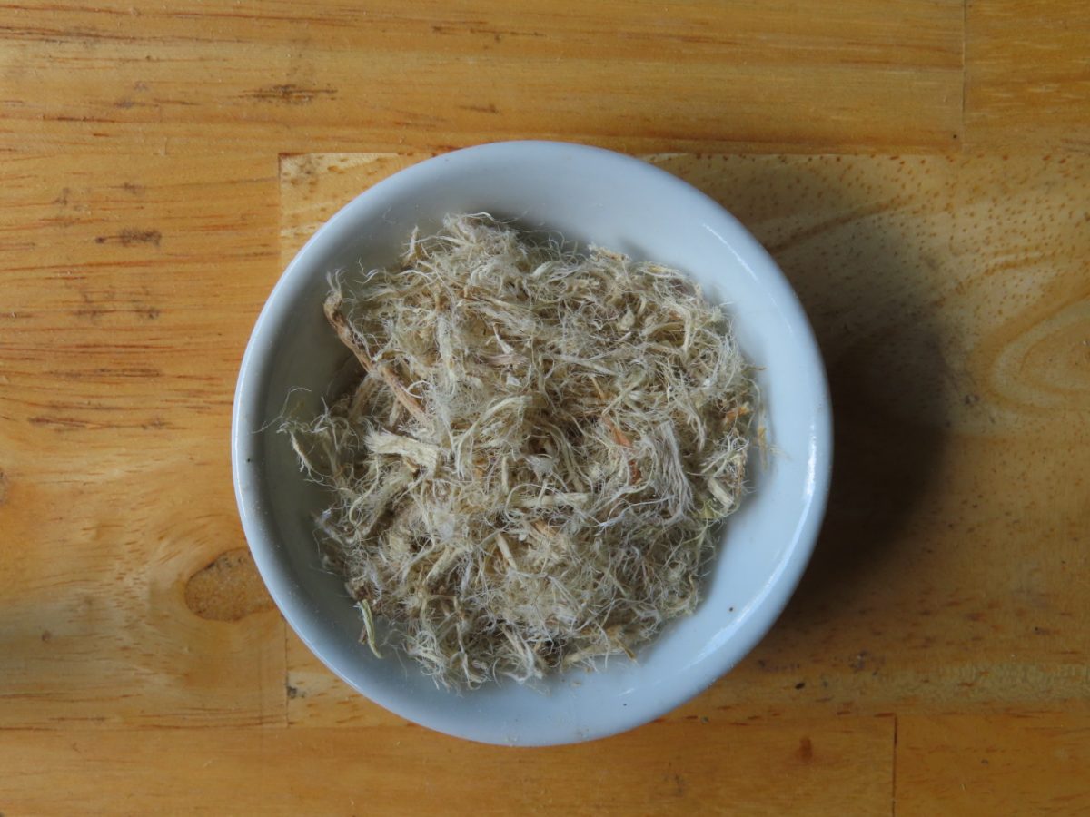 Ashwagandha Root – Cutting Root Farm