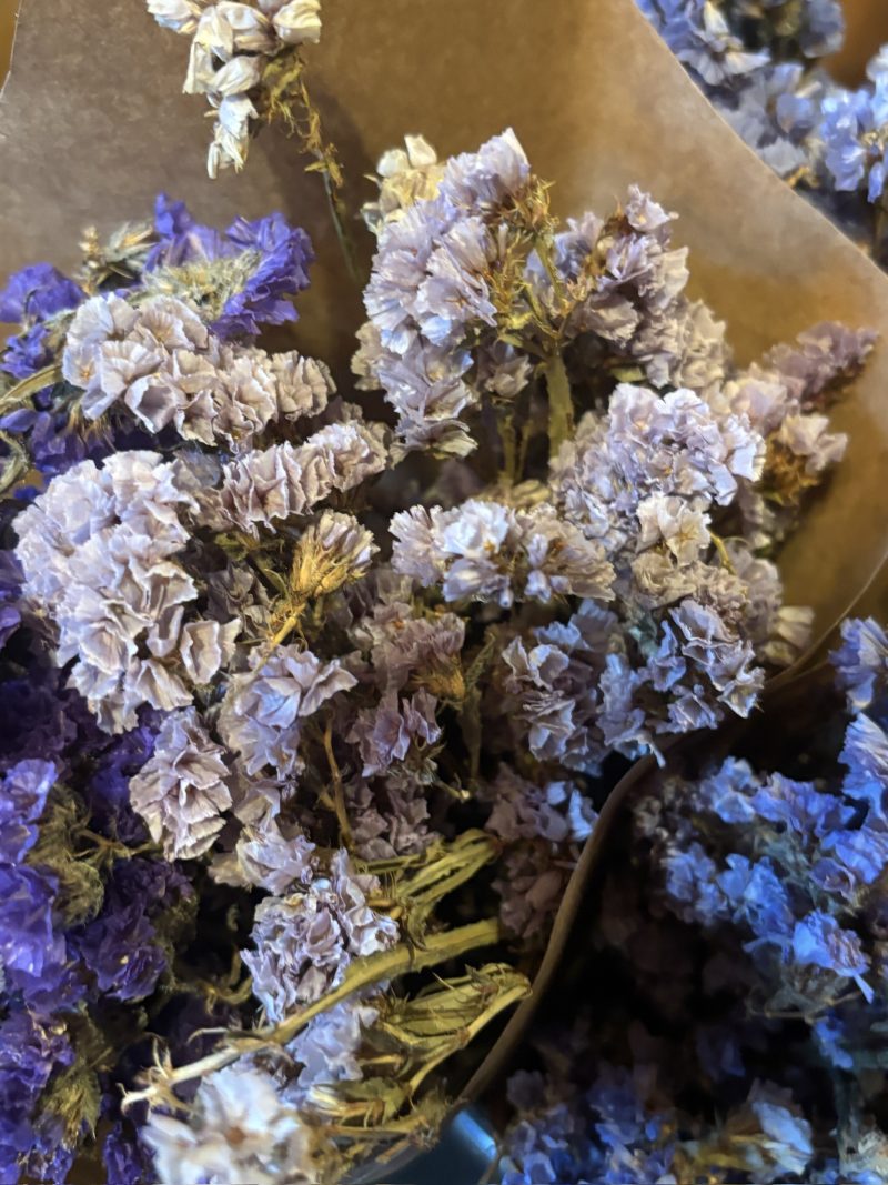 Statice Bunches – Cutting Root Farm